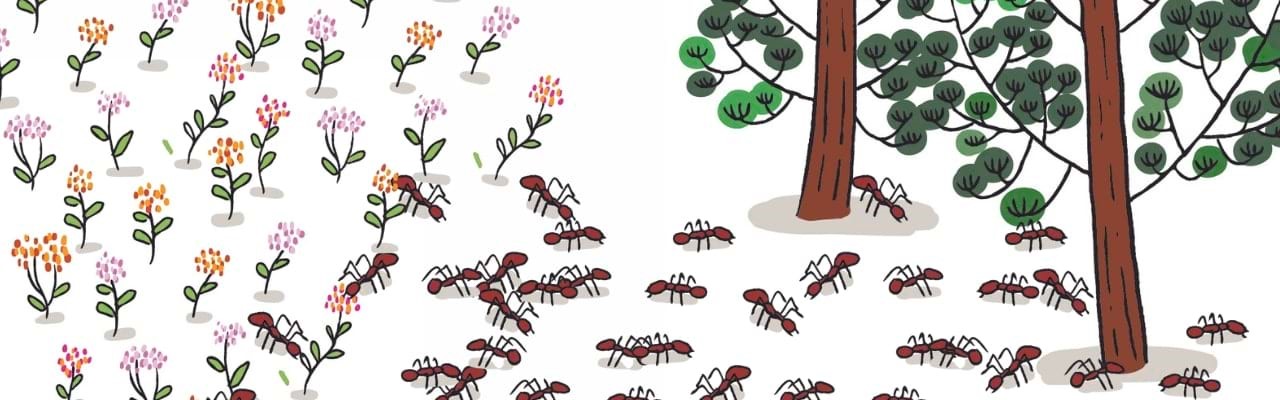 #InvasiveAlienSpecies | ONet